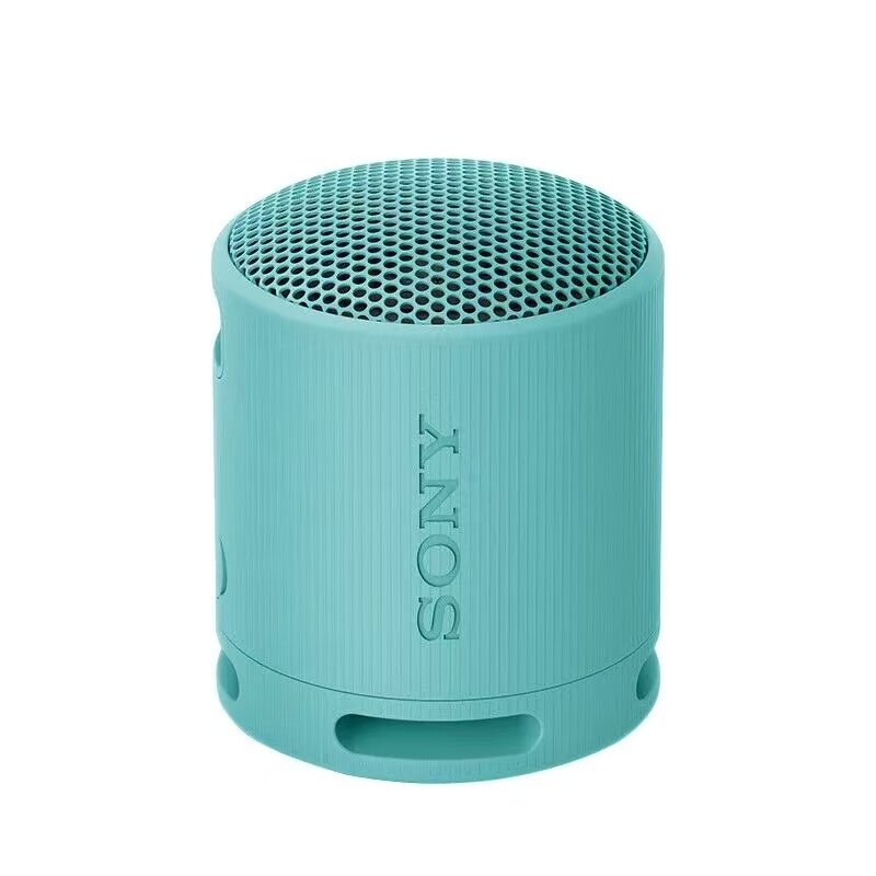 Беспроводная колонка SRS-XB100, серый