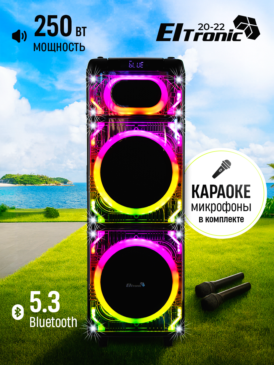 Музыкальная колонка с 2мя микрофонами Eltronic 20-22 "SKILLETS BOX" 2500", 10 дюймов