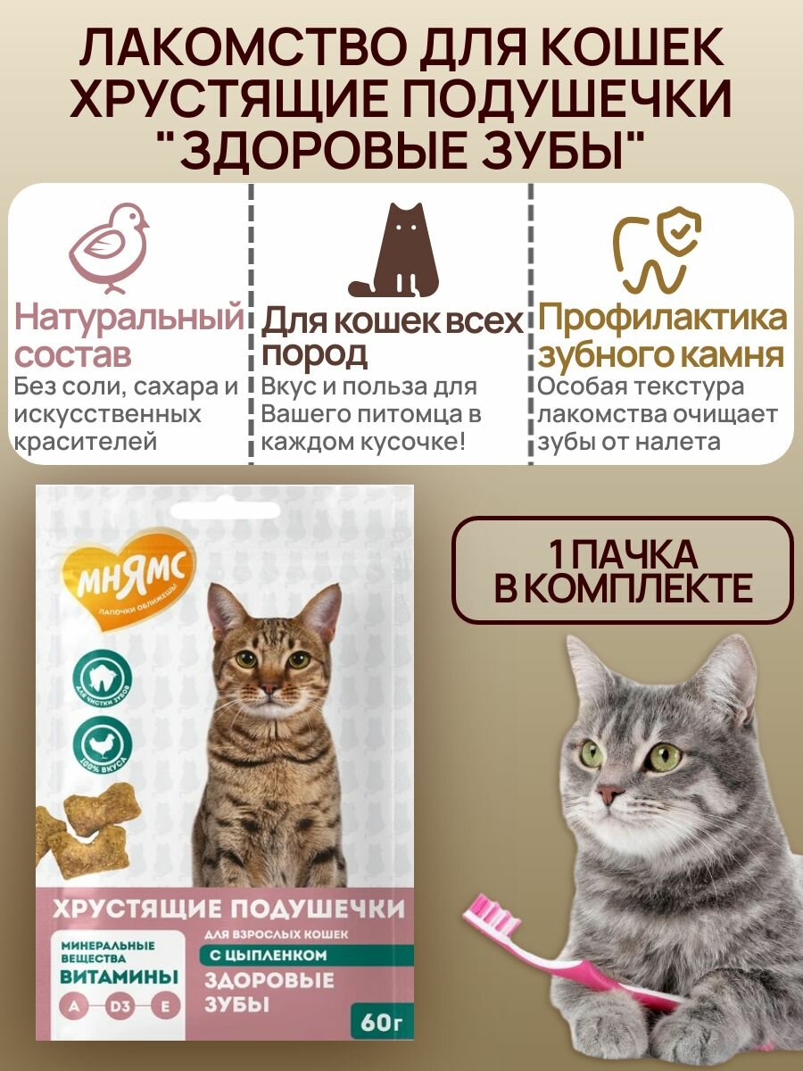 Мнямс "Здоровые зубы" Хрустящие подушечки для кошек с цыпленком 60г, 1 пачка