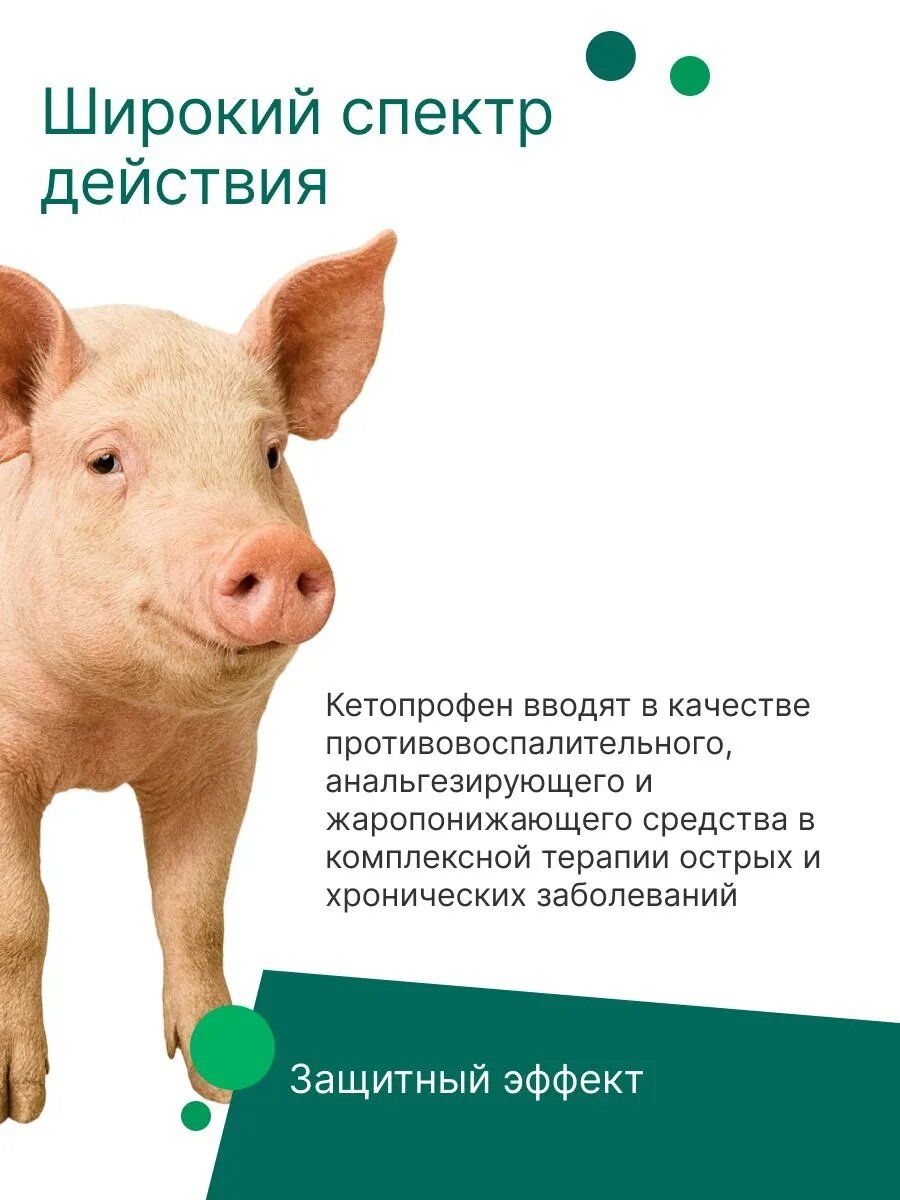 Препарат NITA-FARM Кетопрофен 10%, 100 мл, для всех видов животных — фото 1