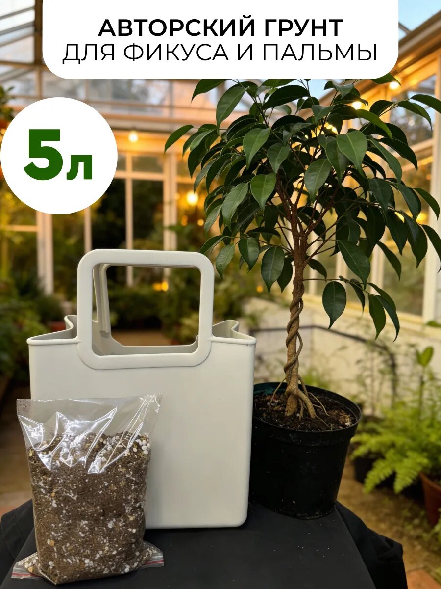 Авторский профессиональный грунт для фикусов и пальм 5 литров от Sinitsa_Leaf