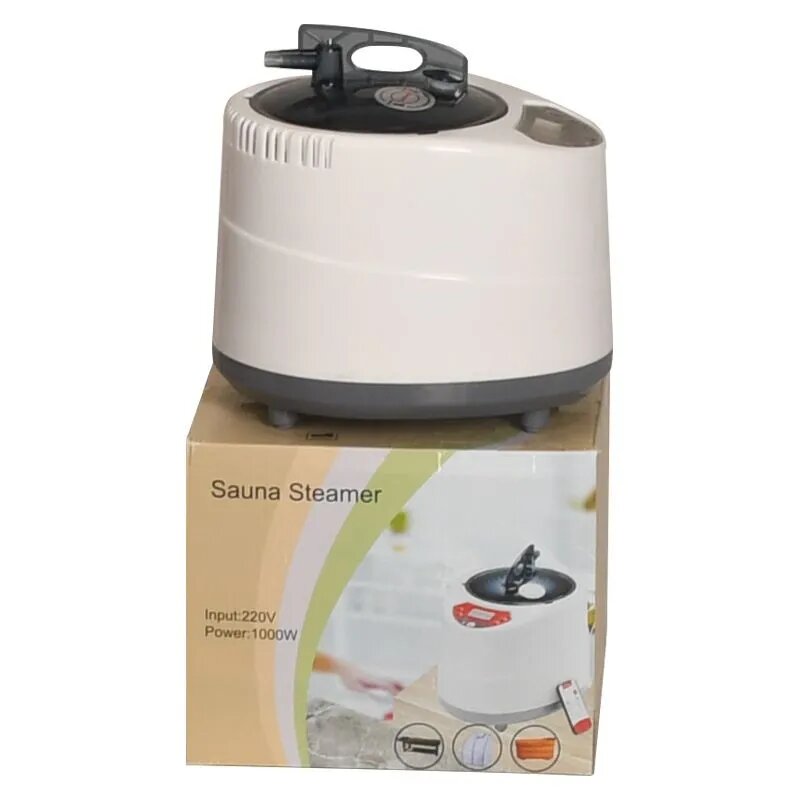 LEJIAO Sauna Steamer Steam Generator 220V 1000W For Mini Sauna SPA