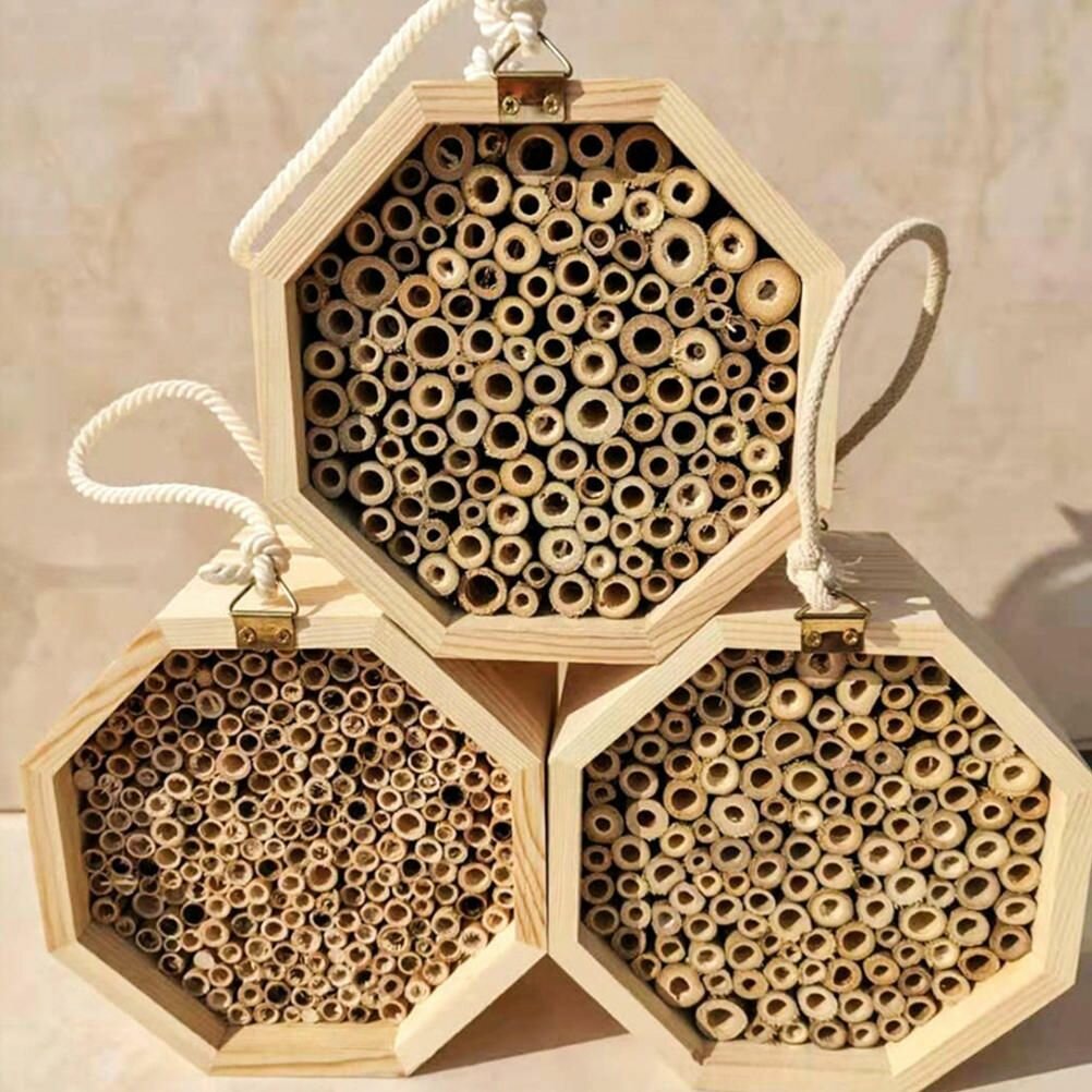 Дом для насекомых — фото 1