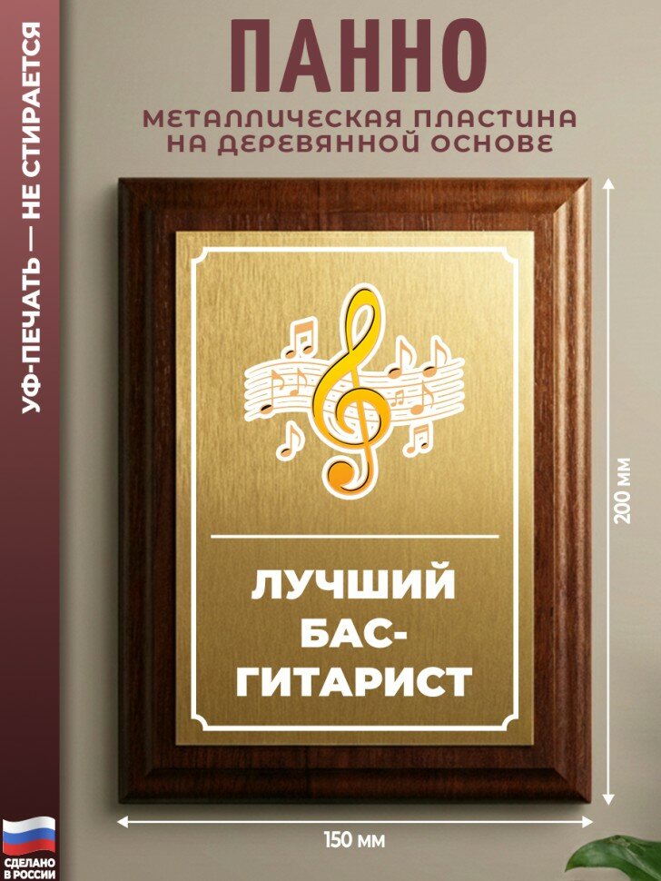 Настенный диплом "Лучший бас-гитарист"