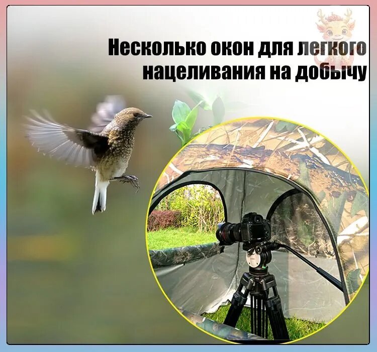 Засидка для охоты с эффектом открытого окна, 7 окон, ветрозащита и защита от дождя — фото 1