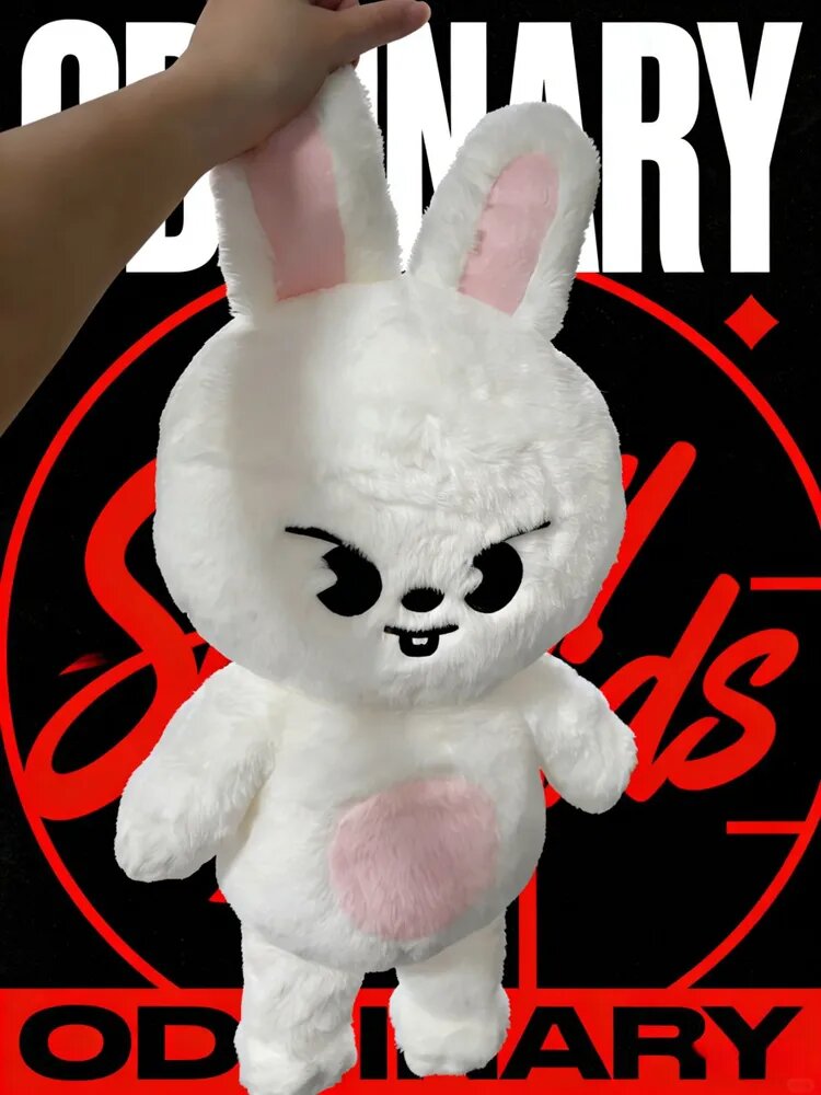 SKZOO 50cm Сидящая Кукла Straykids KARMA, стрей кидс игрушки плюшевая игрушка