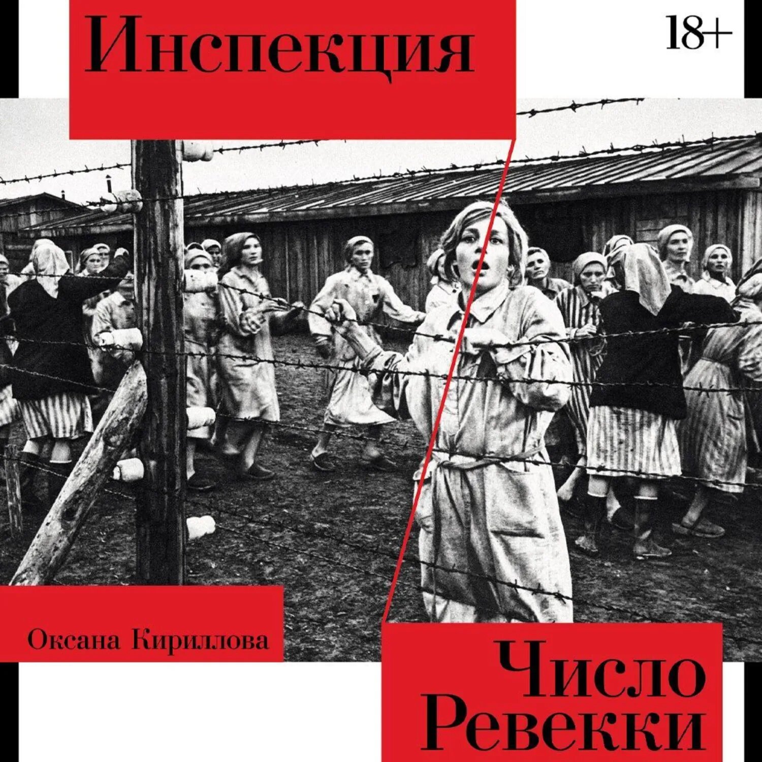 Инспекция. Число Ревекки [Аудиокнига]