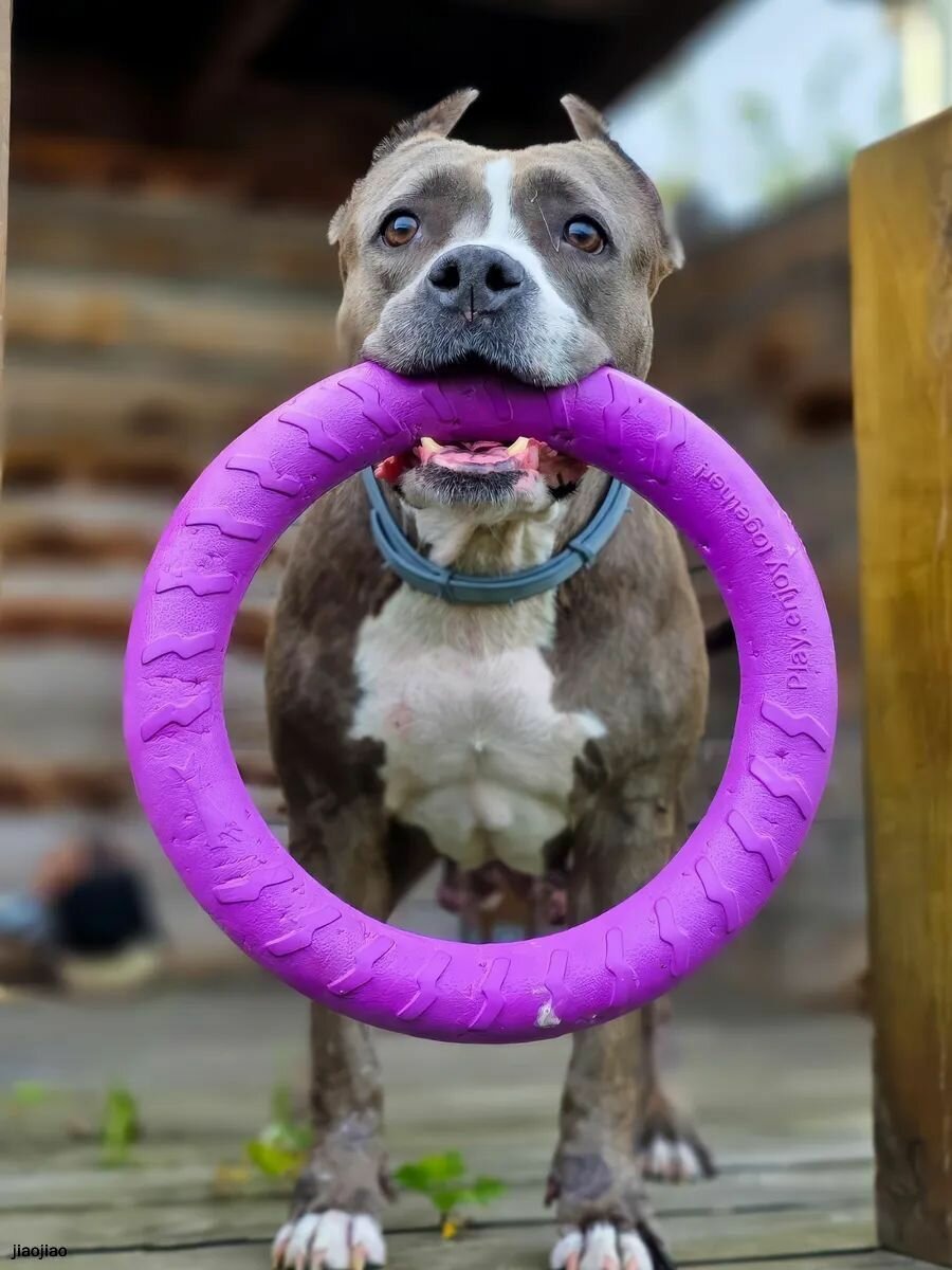 Кольцо пуллер для собак крупных и средних пород 30см.