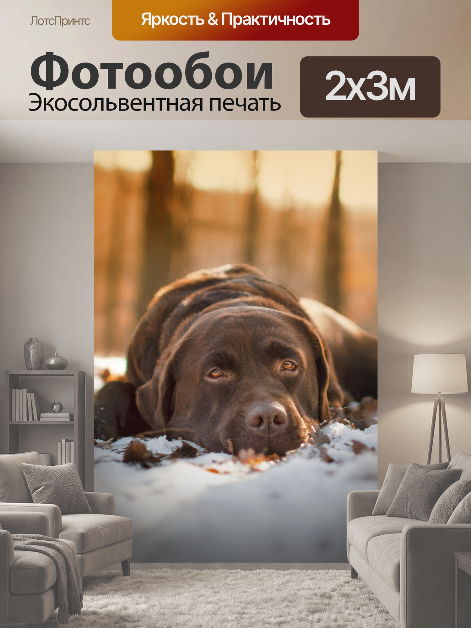 Фотообои "Собака, собачий, лабрадор" 200x300 см. экосольвентная печать