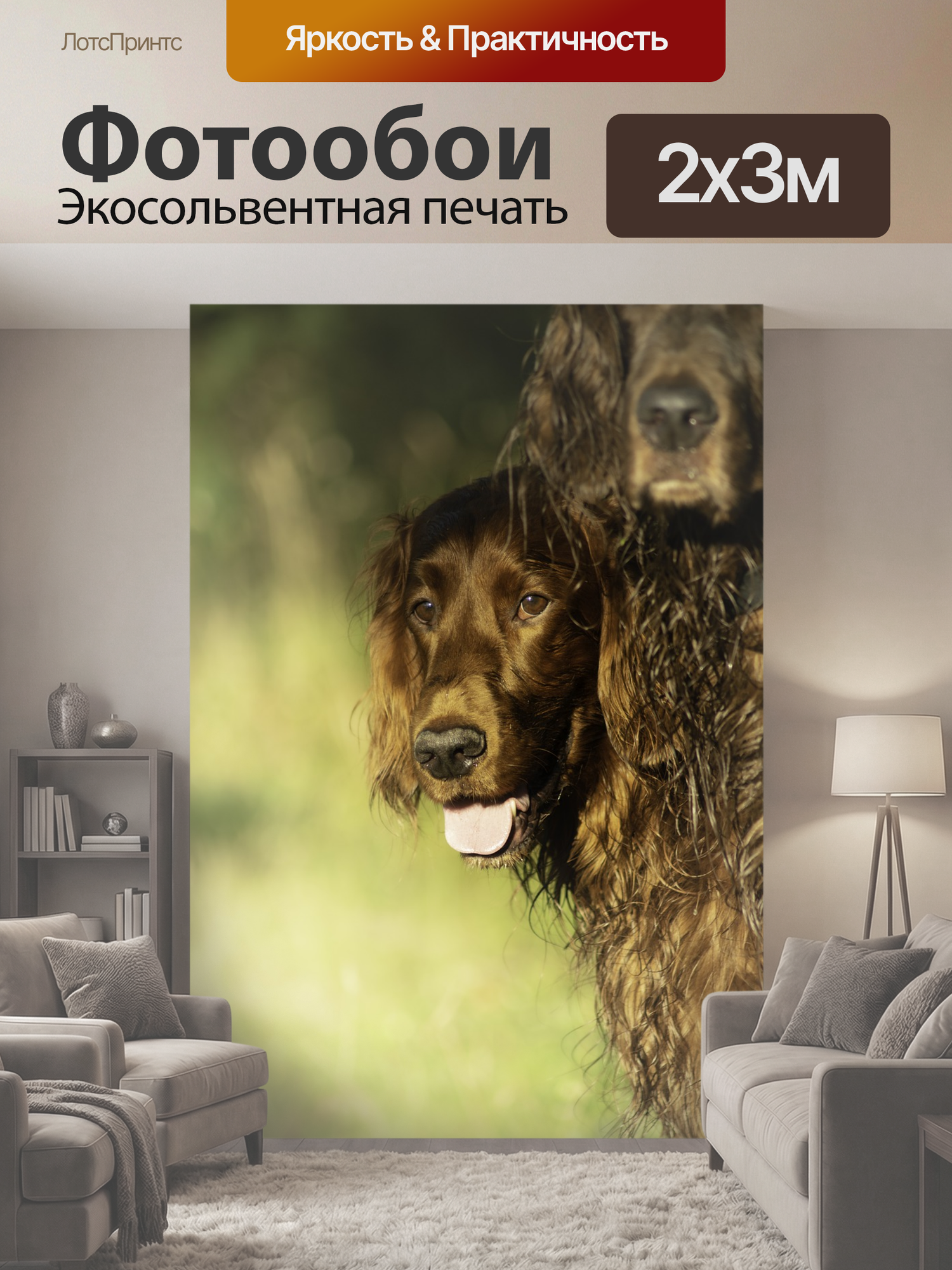 Фотообои "Собака, ирландский красный сеттер, сеттер" 200x300 см. экосольвентная печать