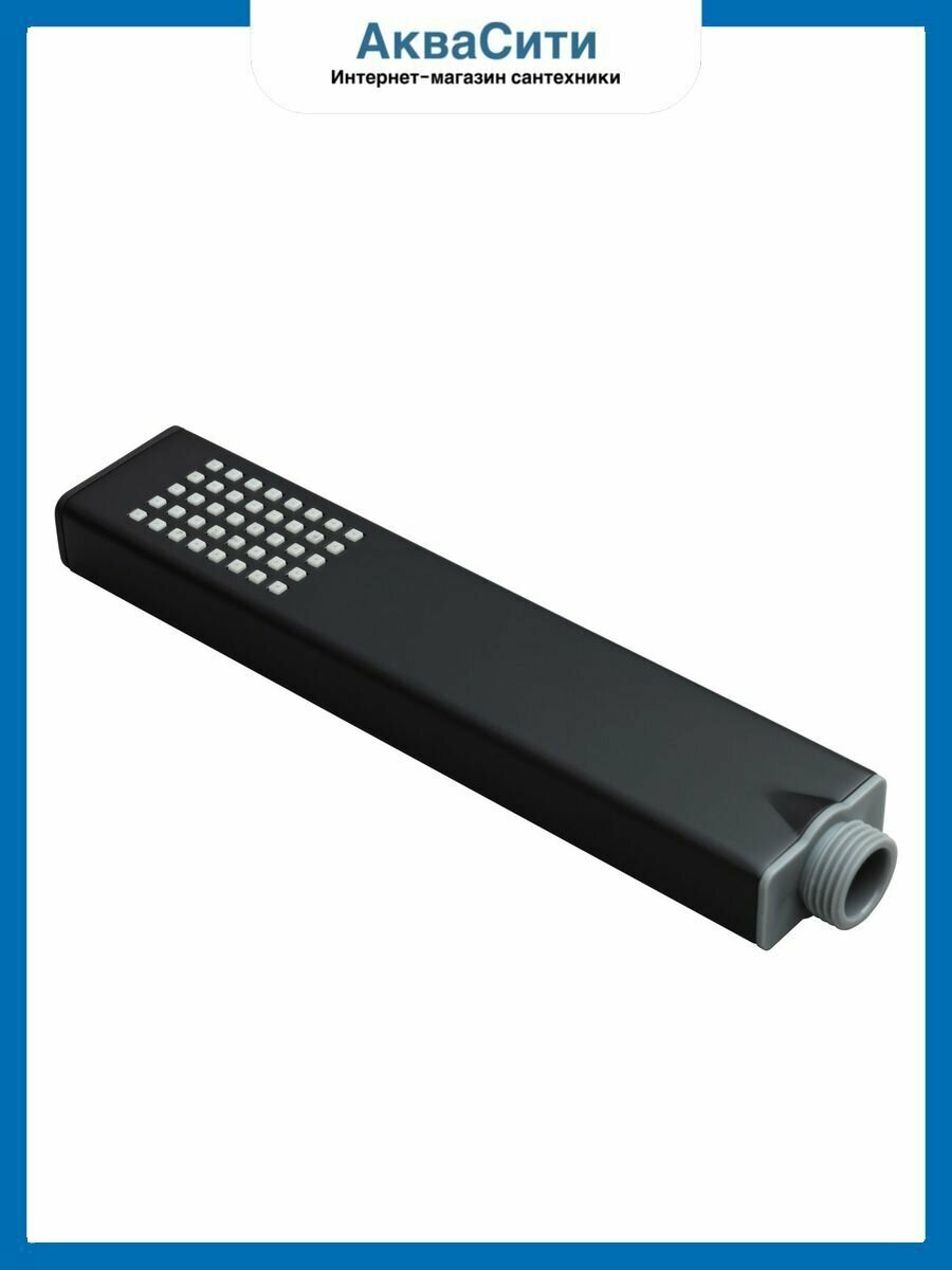 Душевая лейка Allen Brau Infinity 5.21022-31 черный матовый