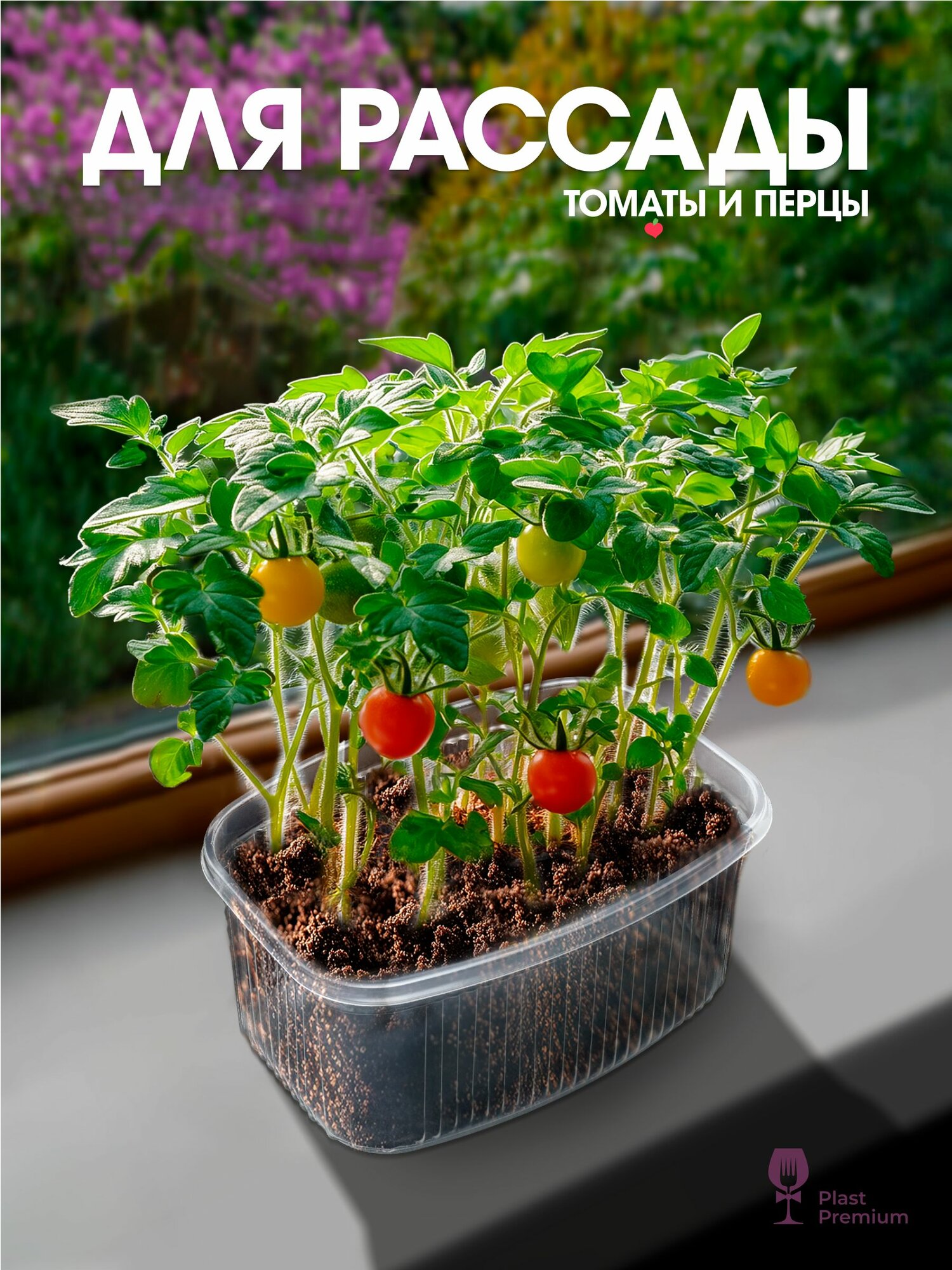 Контейнеры одноразовые с крышкой 500 мл 50 шт для еды и заморозки ягод, пластиковые