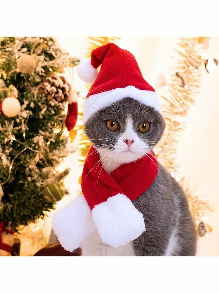 Новогодний рождественский набор-подарок из шапки-колпака и шарфа для кошек, собак и других животных GABYDOG, размер M