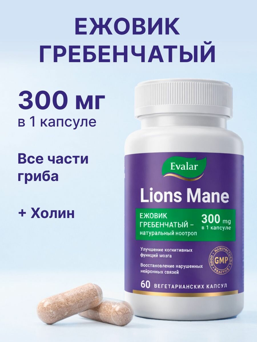 Ежовик гребенчатый Lion's mane, 300 мг, 60 капсул, Evalar Laboratory