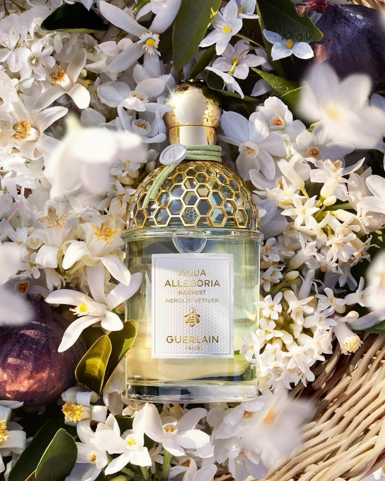 Туалетная вода Guerlain Aqua Allegoria Nerolia Vetiver, женская, 125мл