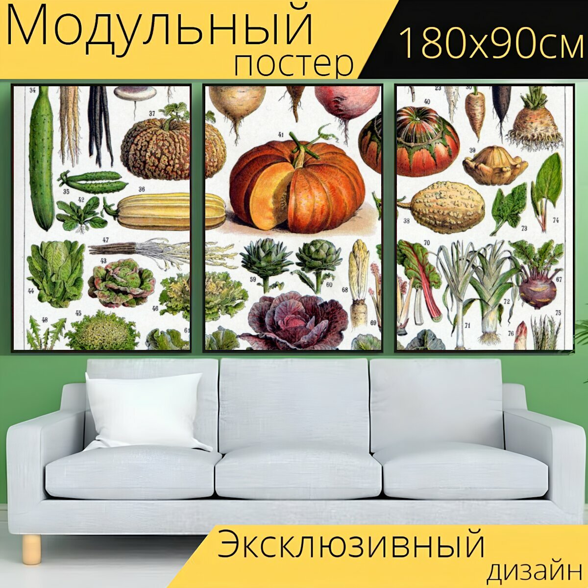 Модульный постер "Старинный постер огород Старинный плакат с принтом огород ботанический Larousse антикварная иллюстрация Public." 180 x 90 см. для интерьера на стену в тубусе