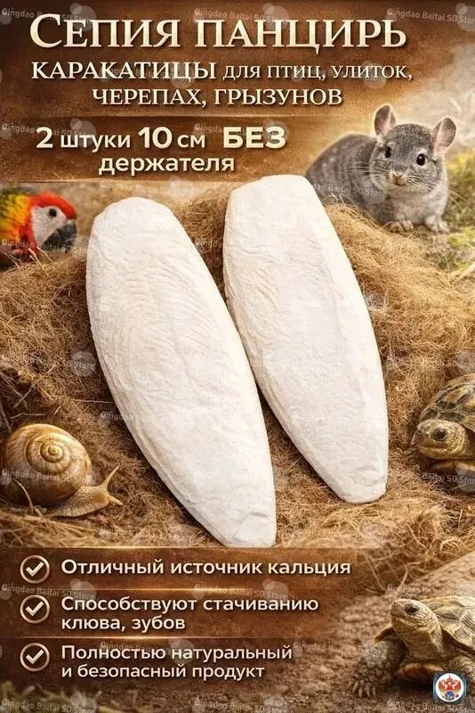 Сепия панцирь каракатицы для птиц, улиток, черепах, грызунов 2 штуки 10 см без держателя
