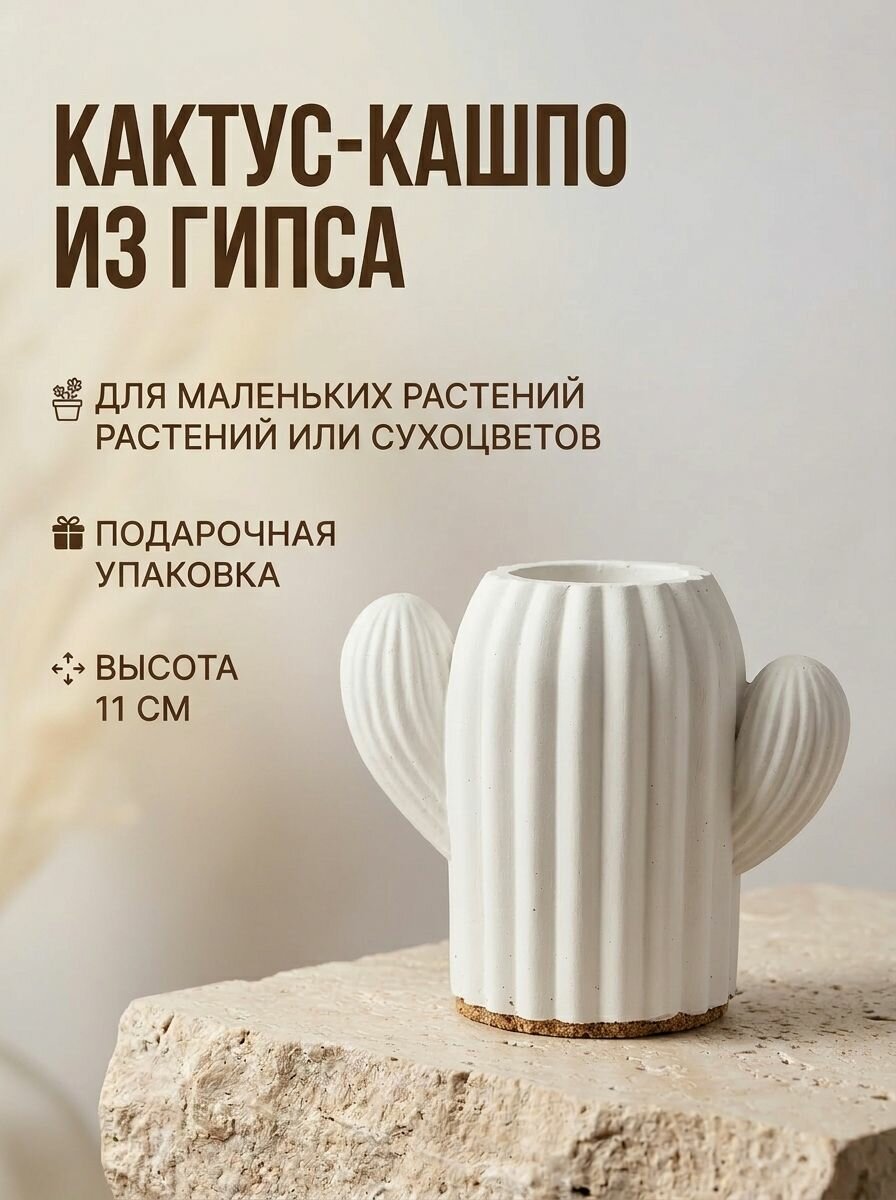 Настольный органайзер Кактус, для интерьера, из гипса, матовая