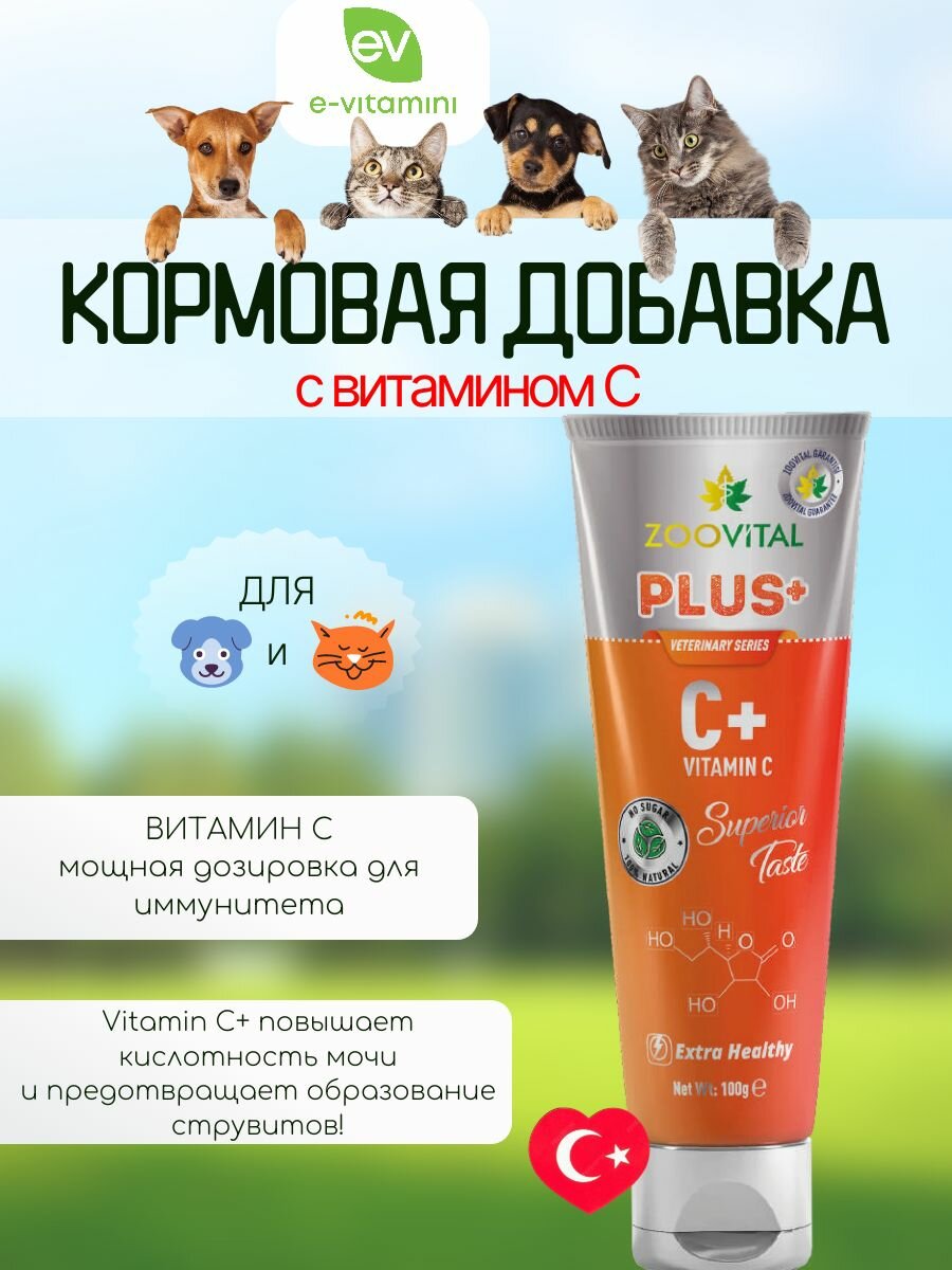Кормовая добавка Zoovital Vitamin C+ для кошек и собак, для иммунитета и профилактики МКБ с витамином С, паста 100 г