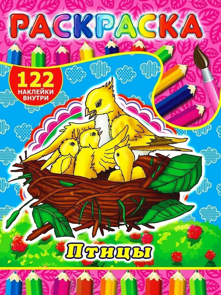 Раскраска детская, с наклейками, птицы