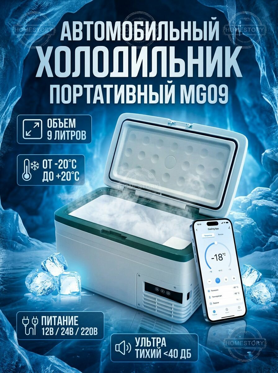 Автохолодильник компрессорный Alpicool 9л от прикуривателя 12-24-220 вольт портативный в машину