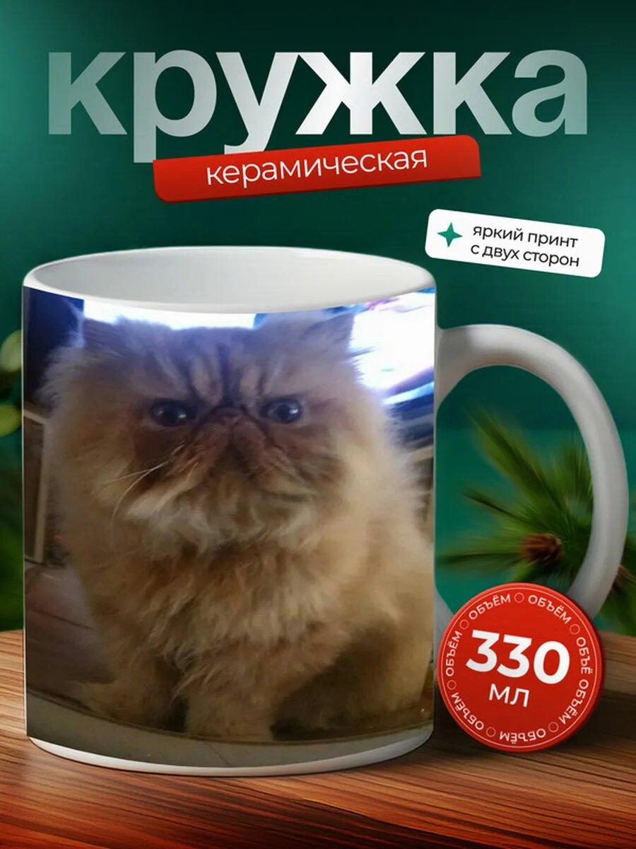 Кружка Иранский персидский кот 34,