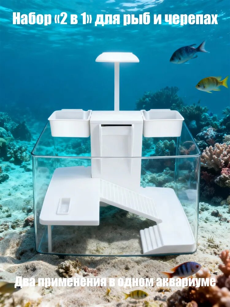 DRAYMAT Акватеррариум 2-в-1: аквариум и террариум с гидропоникой, безопасный акриловый набор, система фильтрации без частой замены воды, светодиодная подсветка и водопад от USB, набор для начинающих