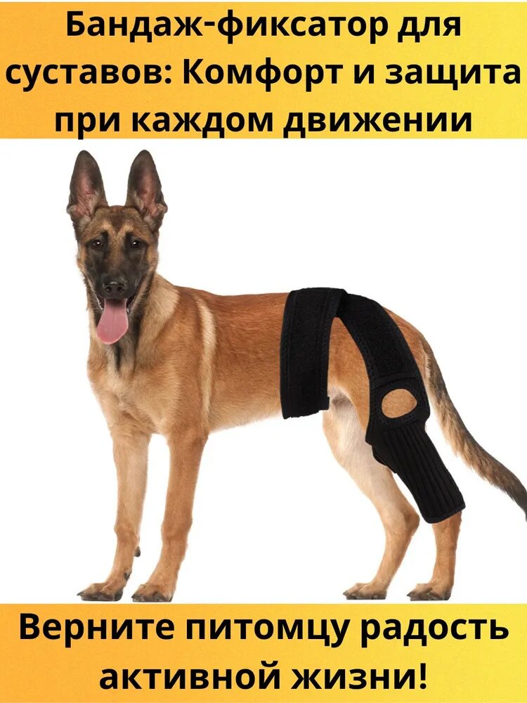 Бандаж для собак тазобедренный поддерживающий, корсет для задних лап, размер L