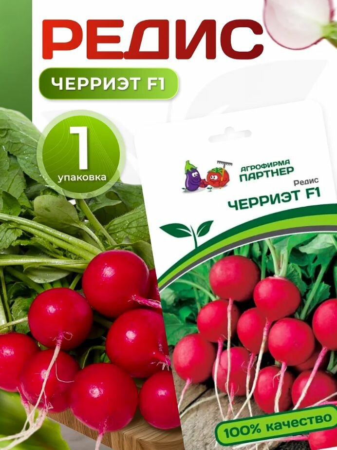 Семена редиса Черриэт