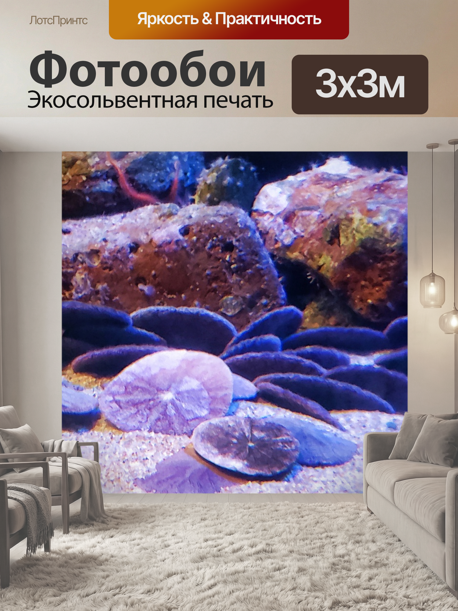 Фотообои "Сан-доллары баннер горизонтальное изображение песчаных долларов в аквариуме аквариум песочные доллары морская жизнь океан соленая вода." 300x300 см. экосольвентная печать