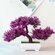 Planter 18 cm, 1 pcs