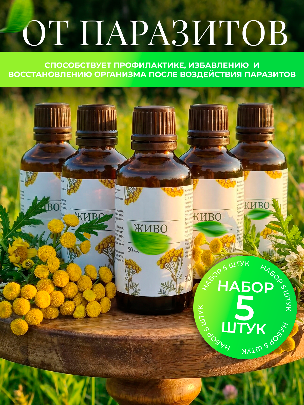 Комплекс от паразитов Живой Устав, для ЖКТ, активные ингредиенты, натуральный состав, 50 мл, 5 шт