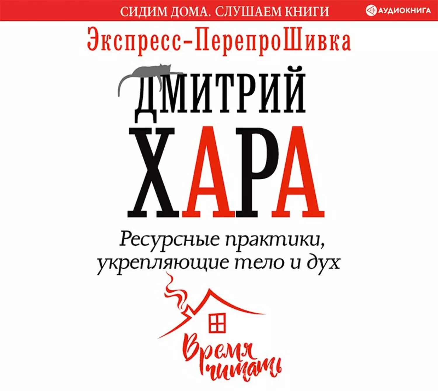 Ресурсные практики, укрепляющие тело и дух. Экспресс-ПерепроШивка [Аудиокнига]