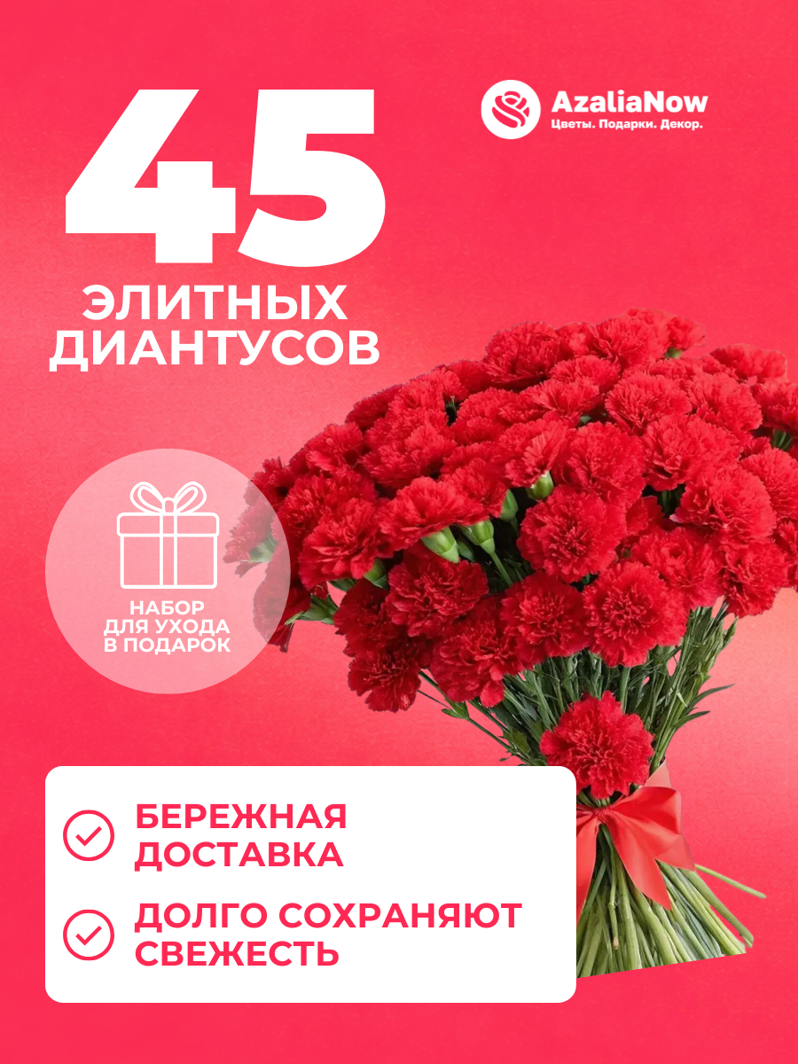 Букет из 45 красных гвоздик, Диантус, Голландия от АзалияНау