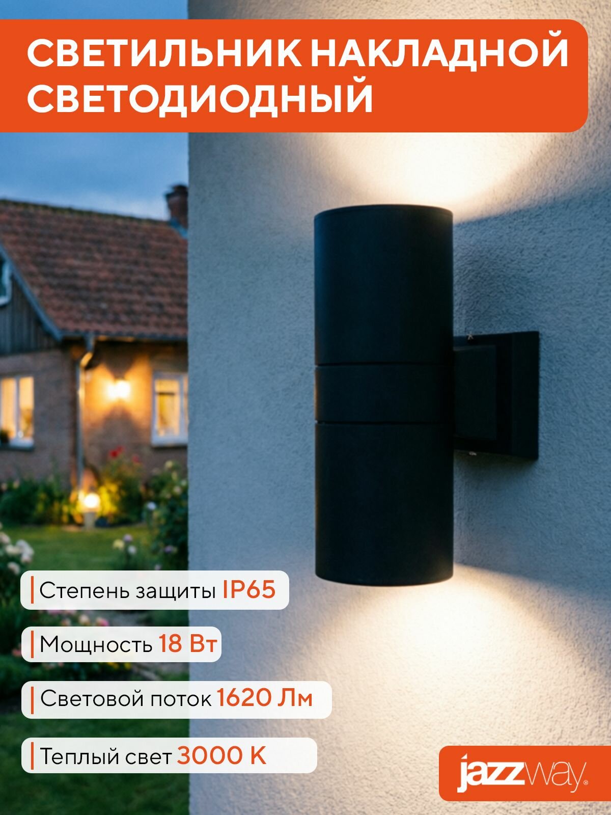 Светильник уличный настенный Jazzway PWL-300110/30D 2x9w 3000K