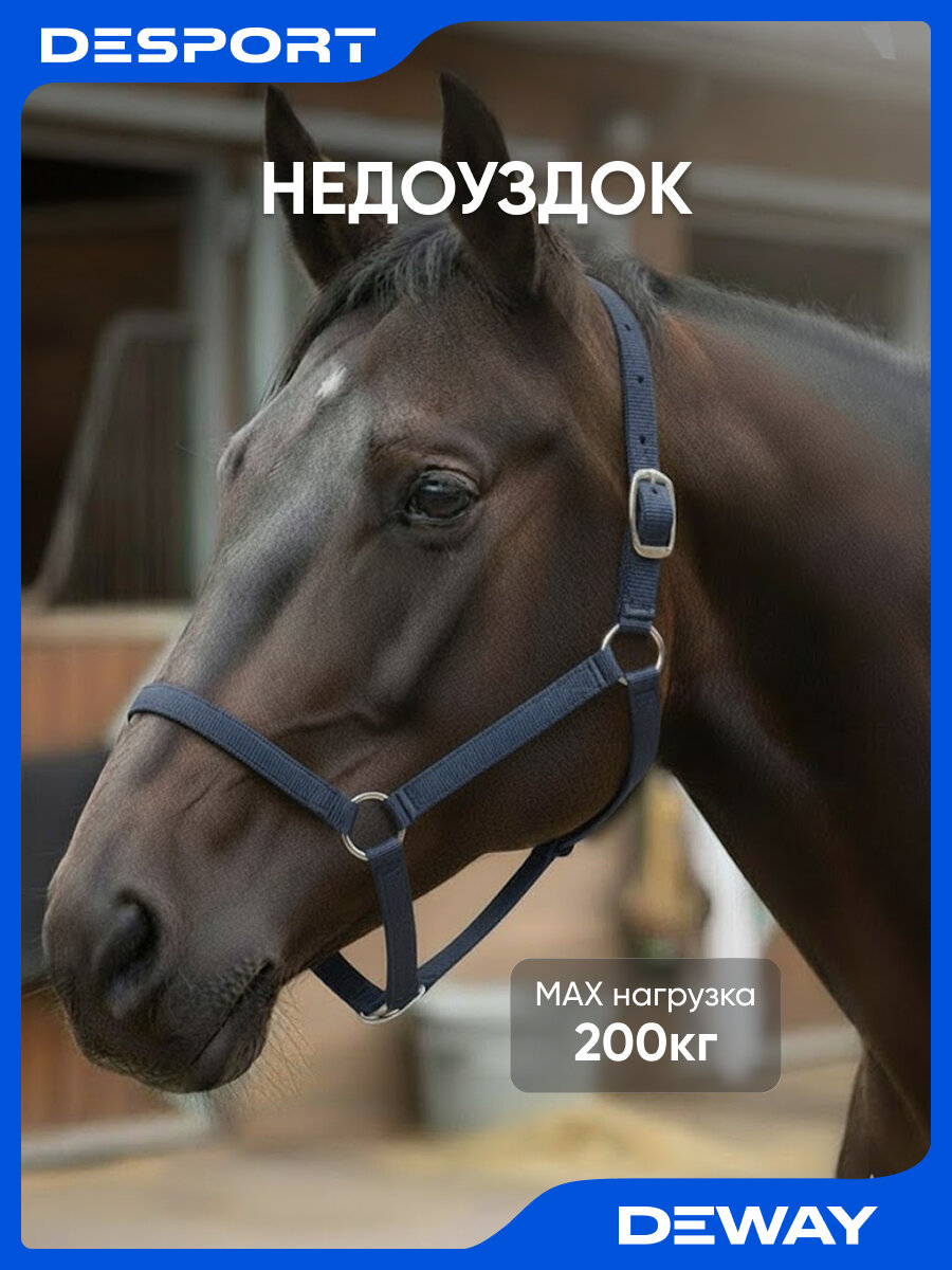 Недоуздок для лошади темно-синий DEWAY100, размер L