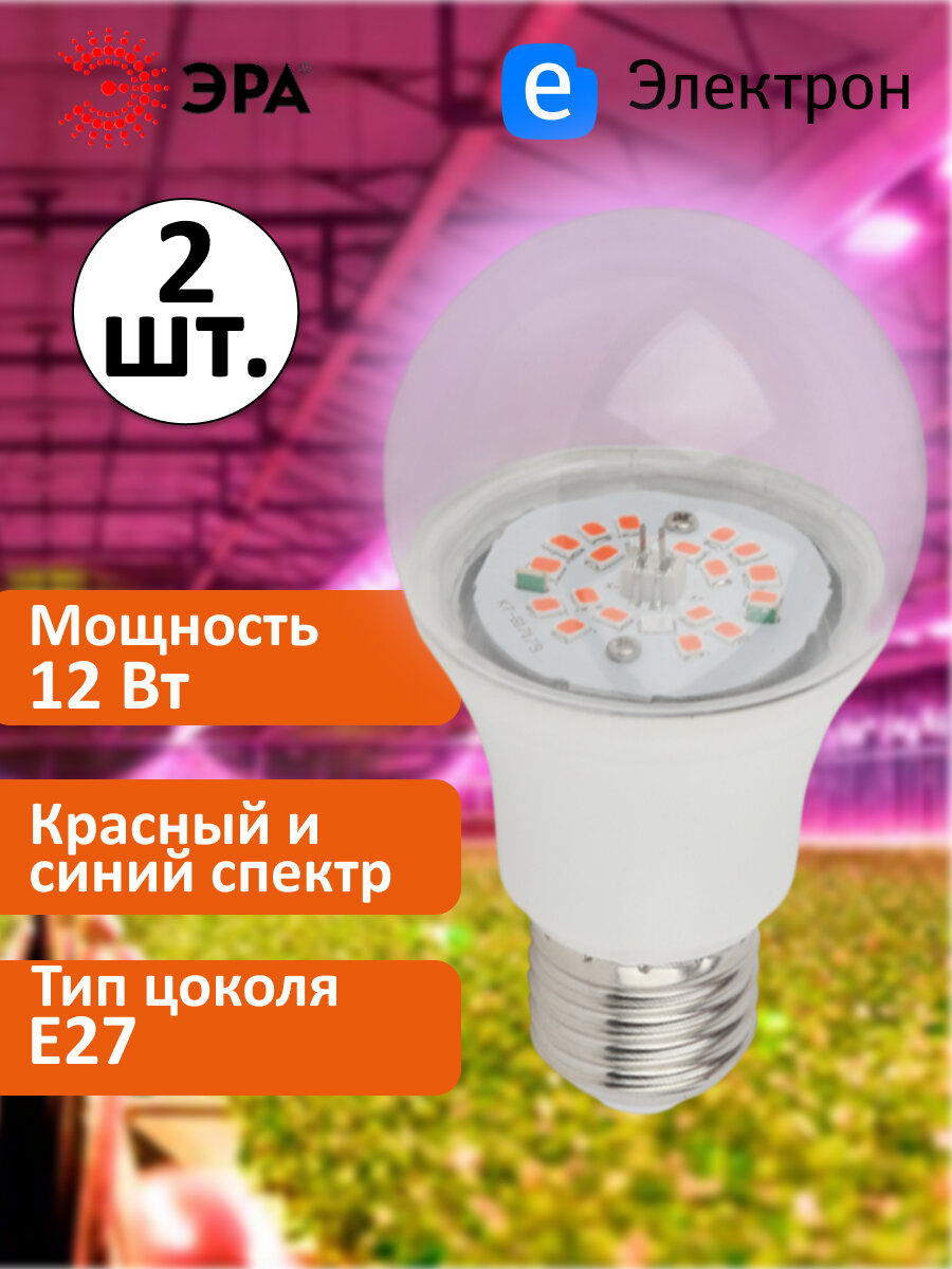 Фитолампа для растений светодиодная ЭРА FITO 12 Вт Е27 красно-синего спектра Б0039070 (комплект из 2 шт.)