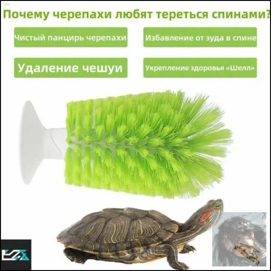 Эксклюзивная скребница для панциря черепахи с вакуумными присосками зелёный гигиенический аксессуар для ухода за рептилиями