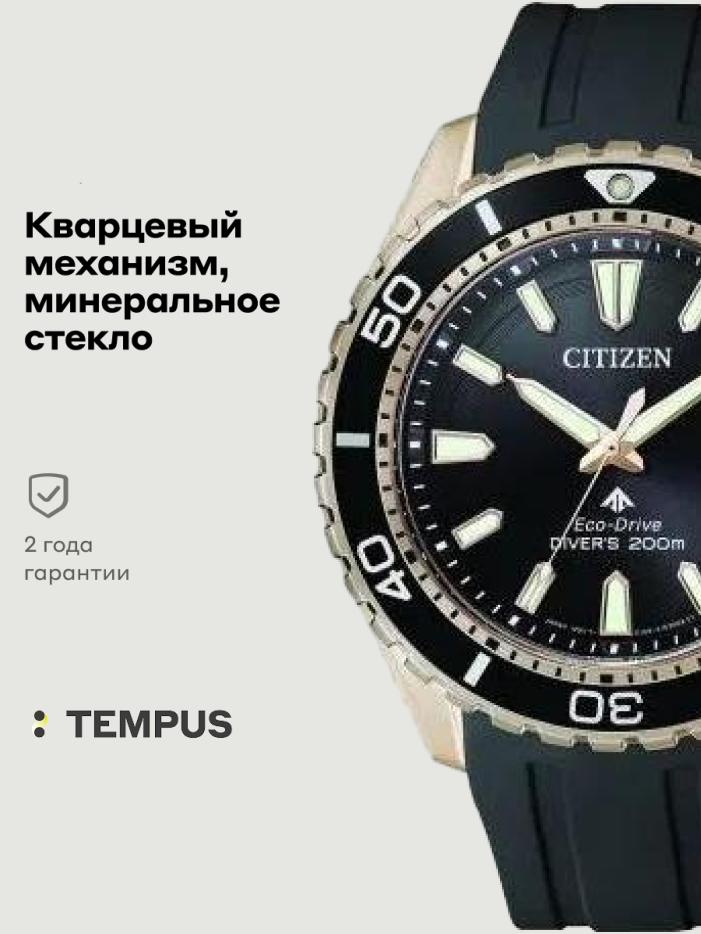 Наручные часы Promaster