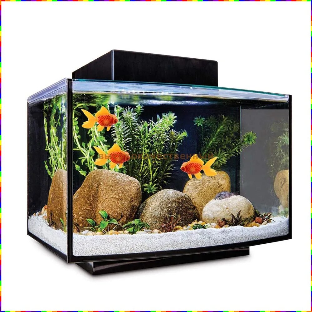 Декоративный фонтан для интерьера с рыбками. Уют и гармония в вашем доме.