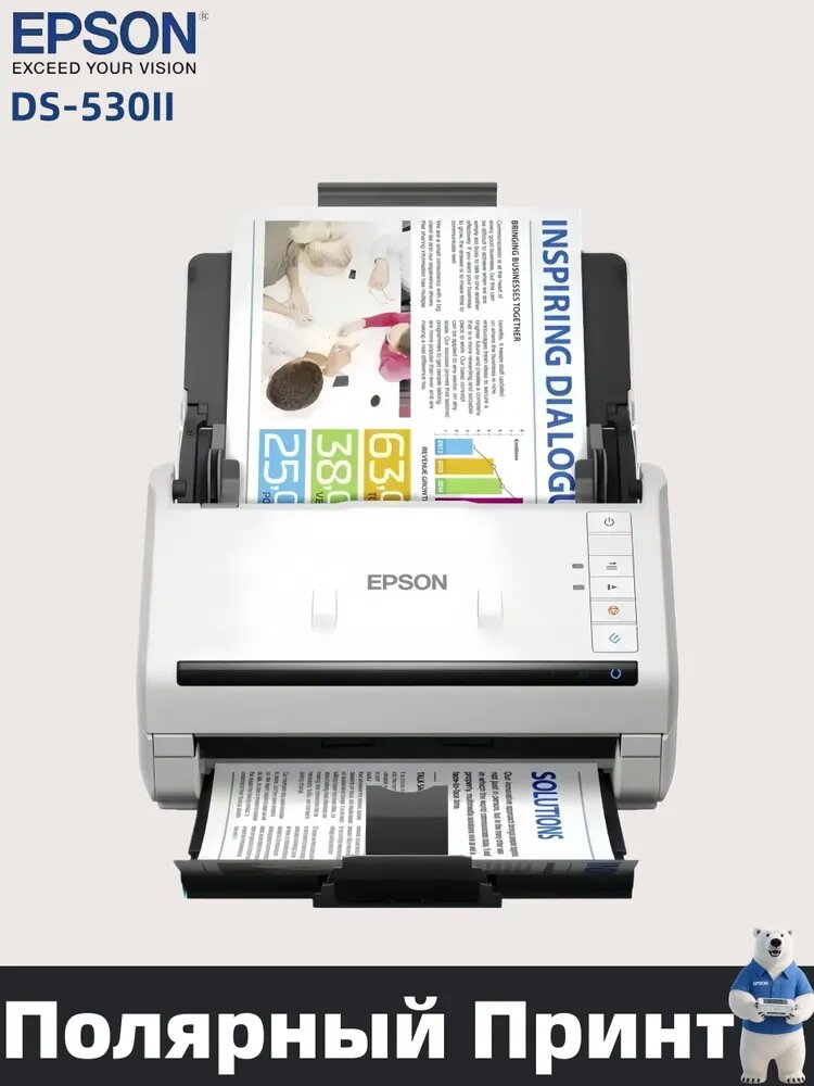 Epson Сканер DS-530II, белый, серый