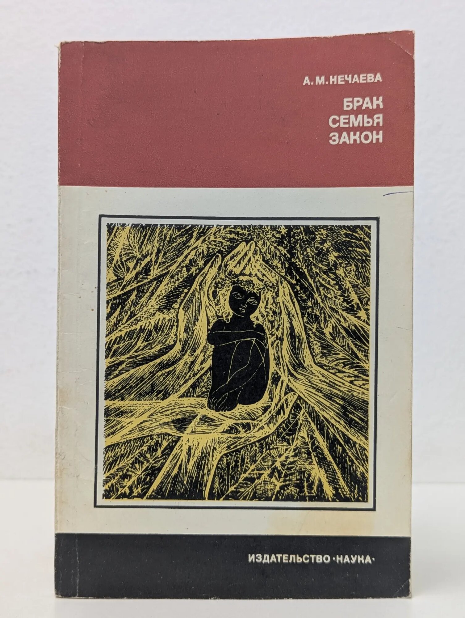 Брак, семья, закон Нечаева Александра Матвеевна 1984