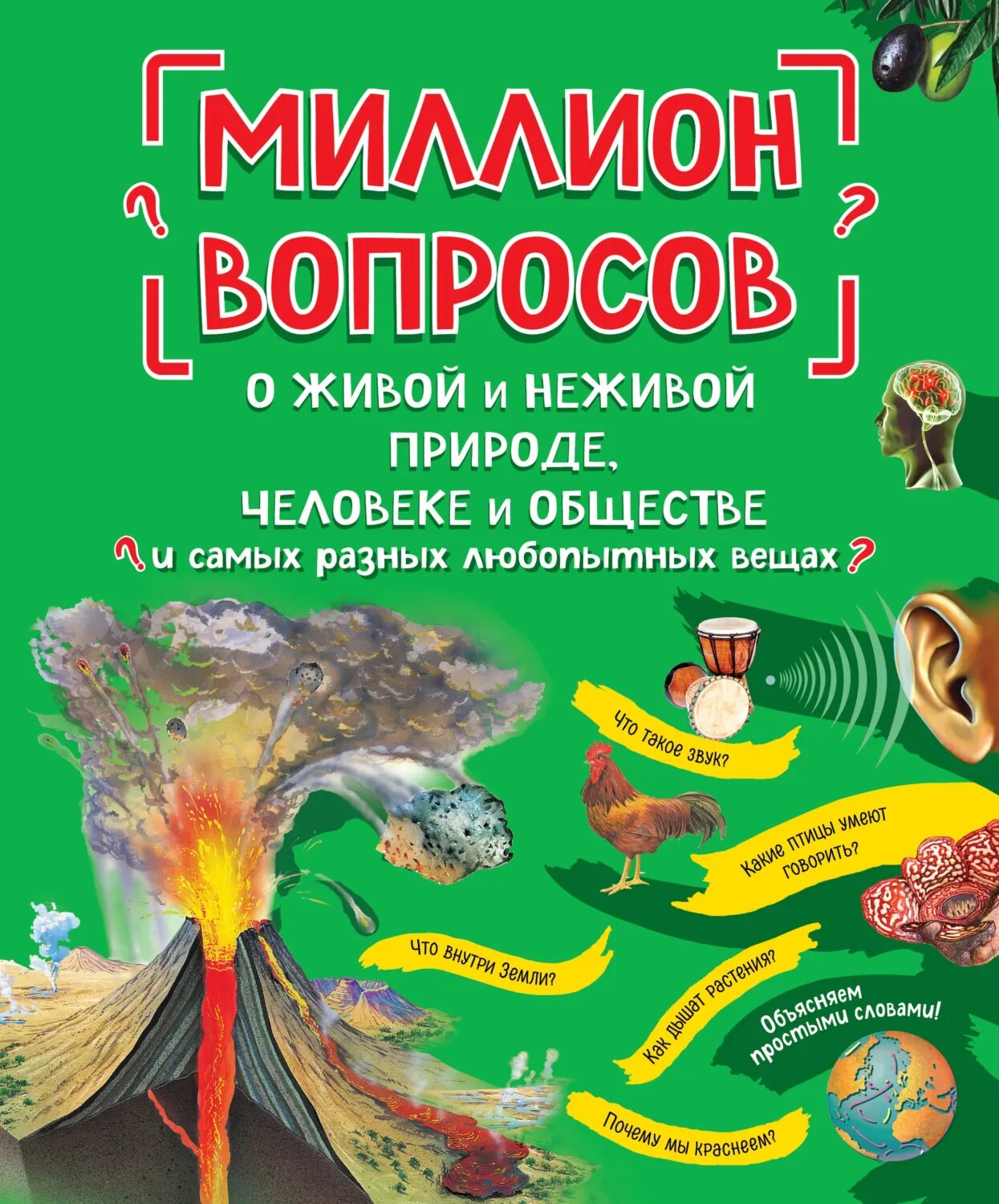 Миллион вопросов о живой и неживой природе, человеке и обществе и самых разных любопытных вещах [Цифровая книга]