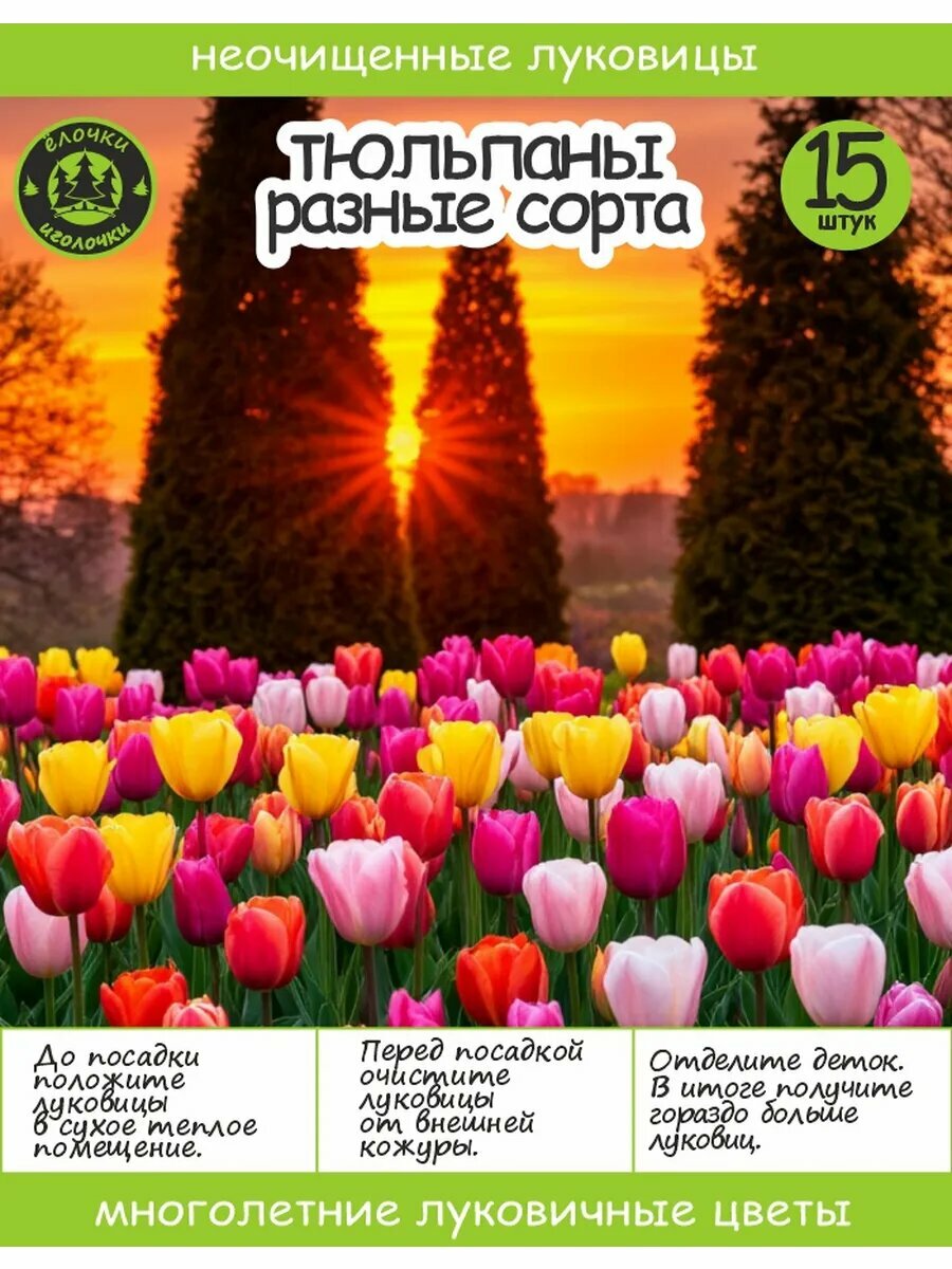 Тюльпан Луковица, Микс сортов, 15 шт