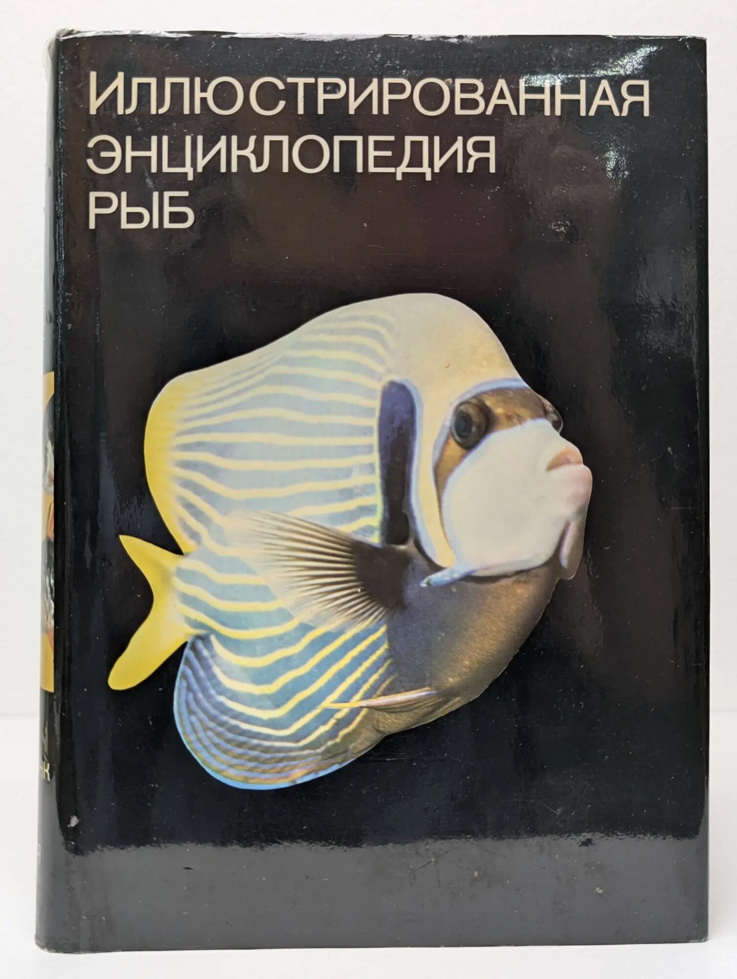 Иллюстрированная энциклопедия рыб Франк Станислав 1984
