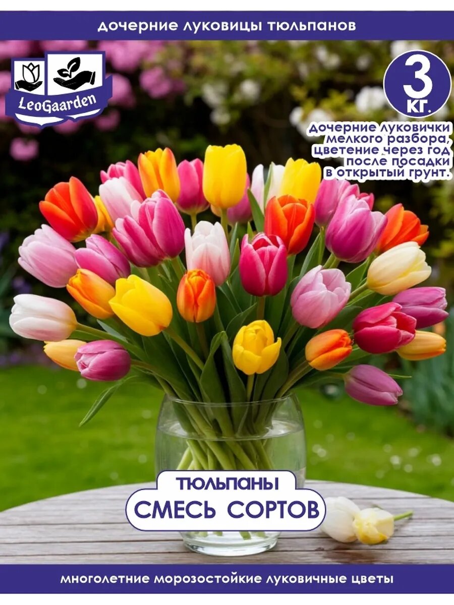 Тюльпан Луковица, дочерние, 3 кг