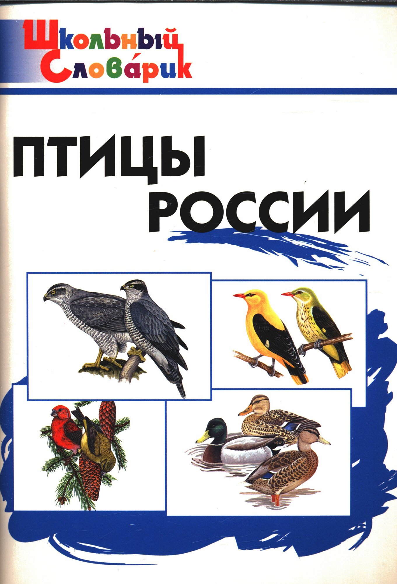 Школьныйсловарикфгос Птицы России. Начальная школа (сост. Ситникова Т. Н.), (Вако, 2019), Обл, c.96