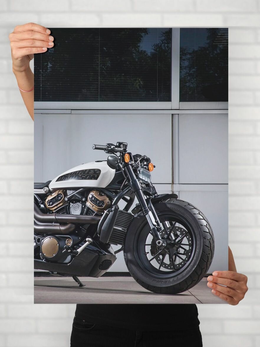 Плакат на стену для интерьера Авто и Мото (Харлей Дэвидсон Кастом 1250 - Harley Davidson Custom 1250 2) - Постер по транспорту формата A2 (42x61 см)
