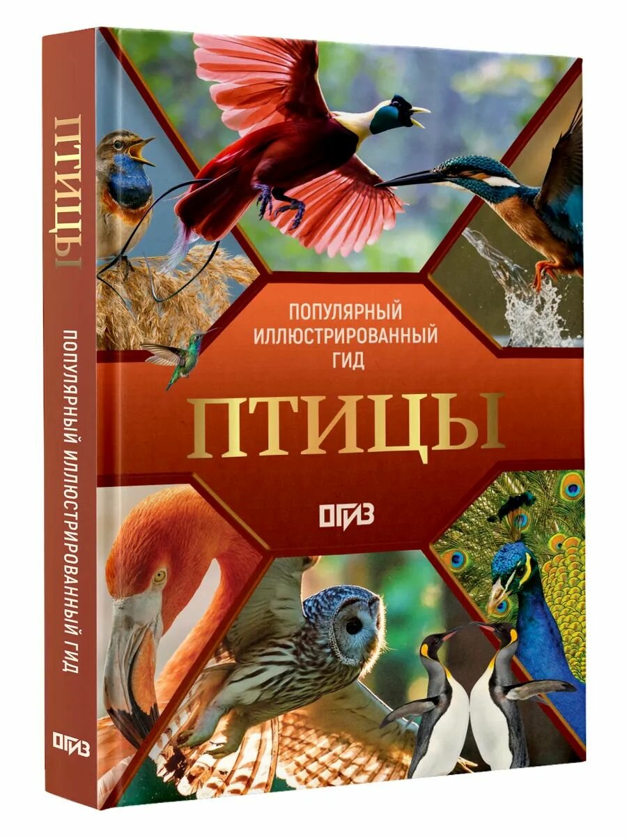 Птицы. Иллюстрированный гид