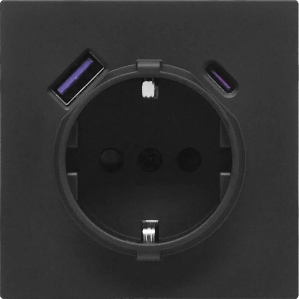 Розетка echo (без рамки) с Usb/Type-C АC, быстрая зарядка 20W, цвет черный